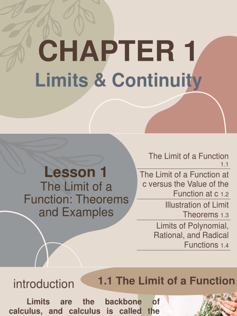Basic Calculus Chapter 1 Limits | PDF | Function (Mathematics) | Exponential Function