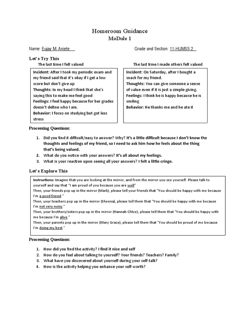 Homeroom Guidance | PDF