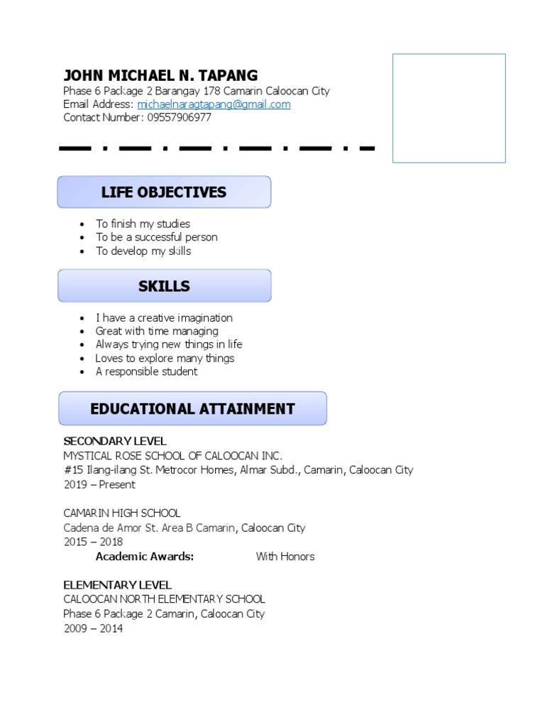 CV Format | PDF