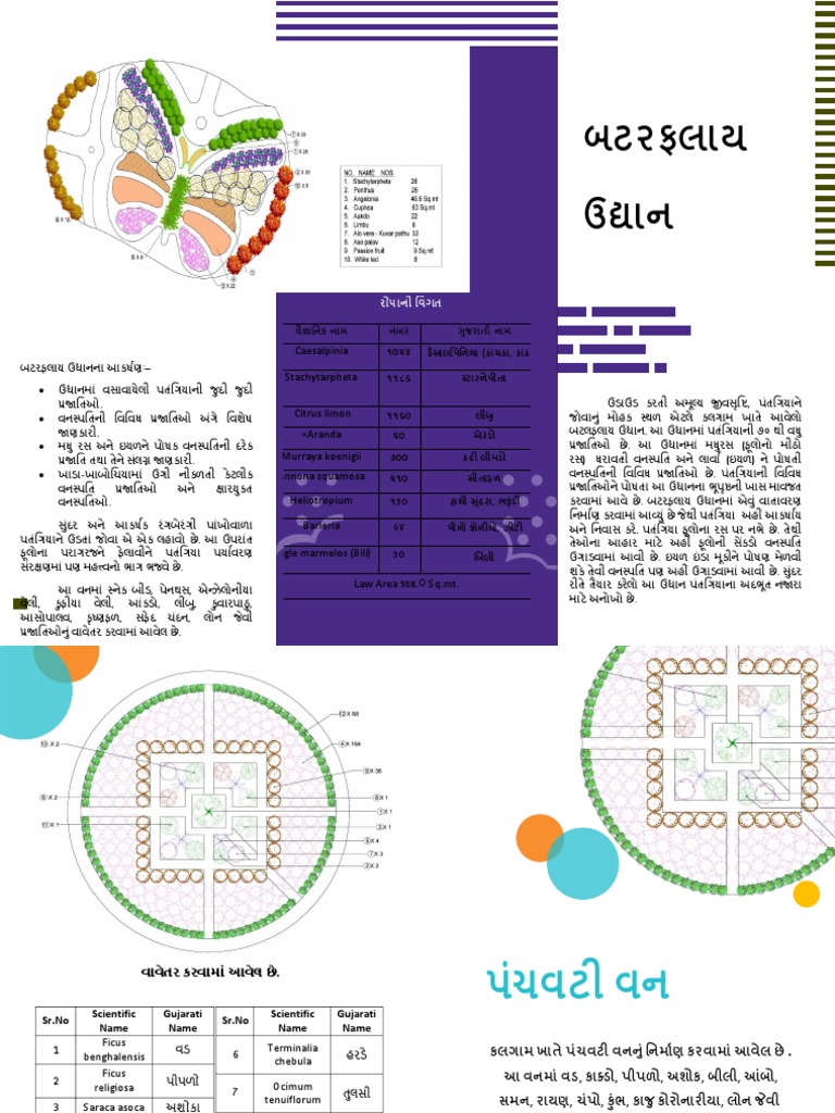 All Van Full Details With Color Design | PDF