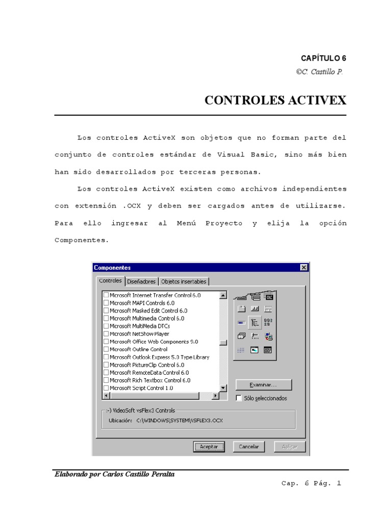 Leccion 6 - Controles ActiveX | Básico | Archivo de computadora