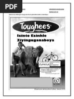 Grade 6 Isizulu Comprehension | PDF