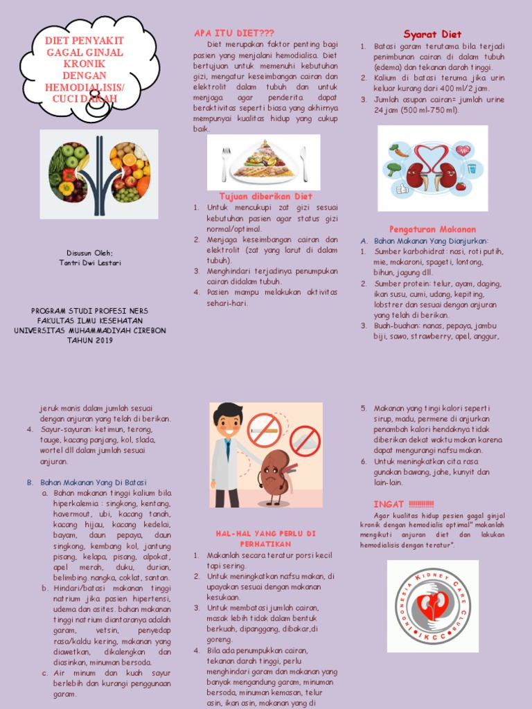 Leaflet CKD | PDF