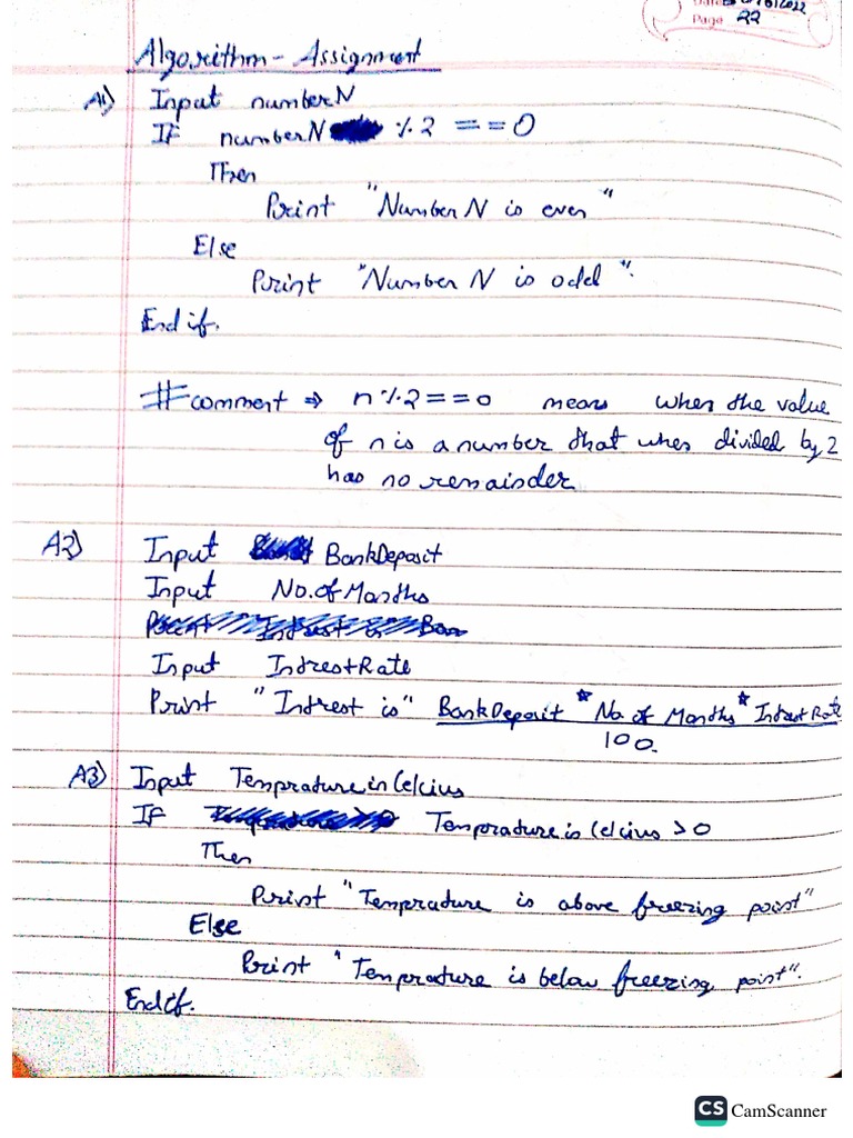 Algorithm Exercise | PDF