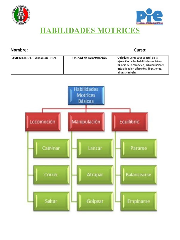 Habilidades Motrices Guia | PDF