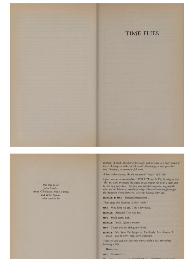 Time Flies Script | PDF