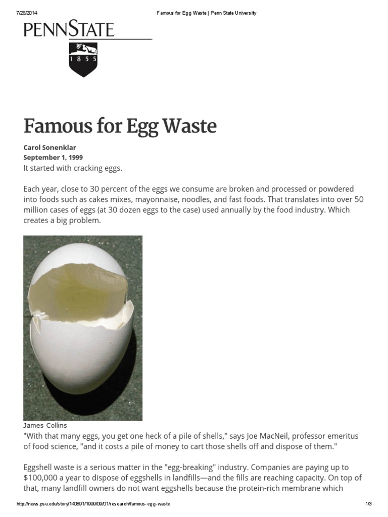 Innovative Solution for Eggshell Waste | PDF