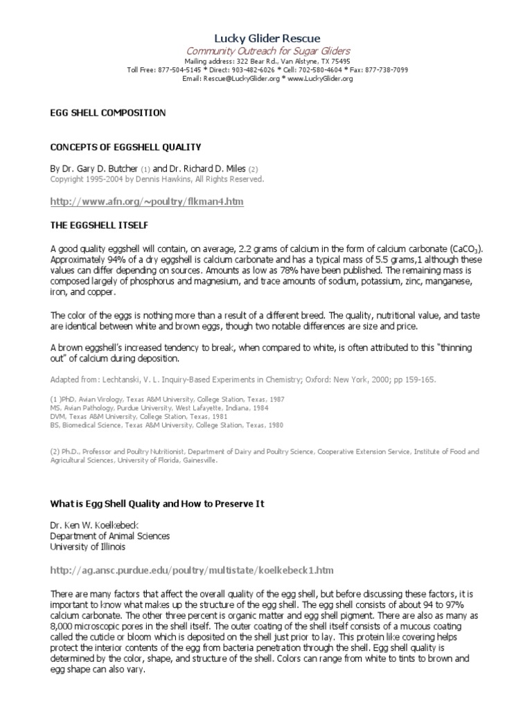 Egg Shell Composition | PDF | Egg | Egg As Food