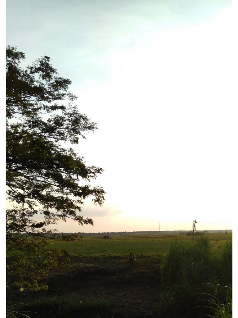 4. The good scenery beautiful scenery the best | PDF