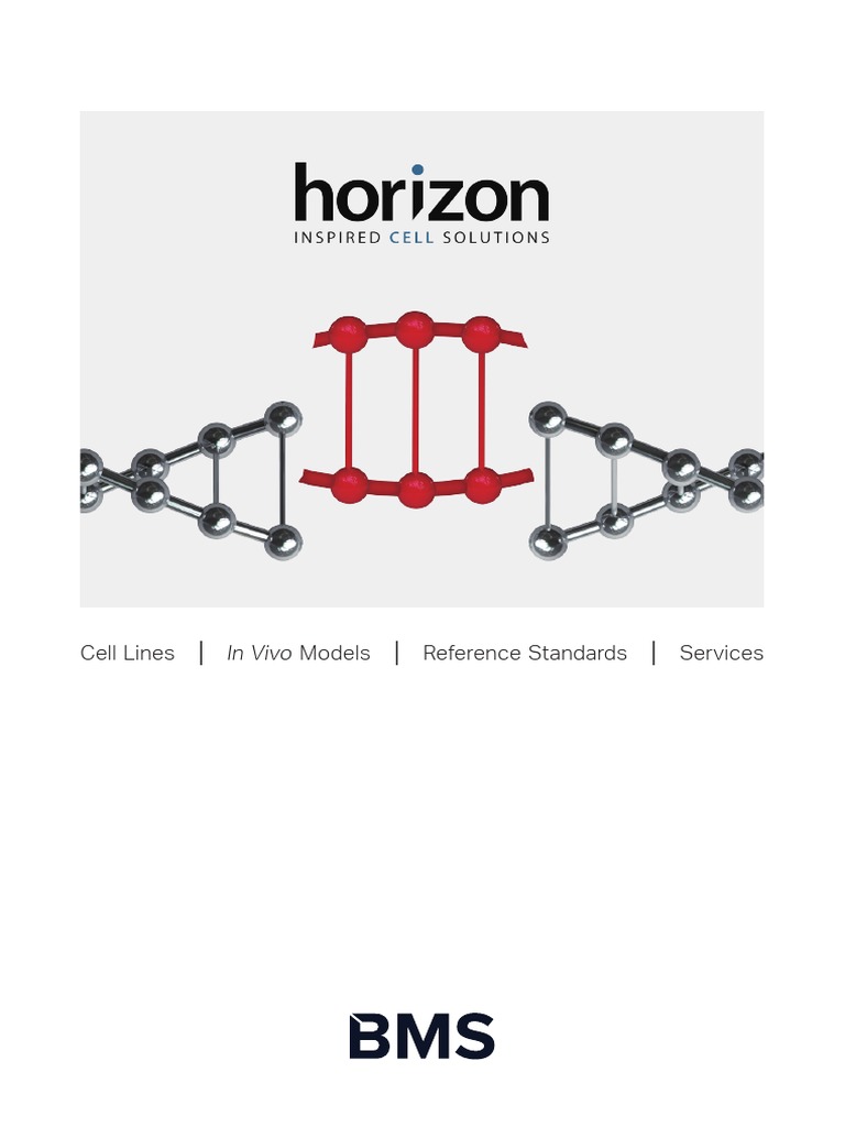 Horizon 종합브로셔 | PDF