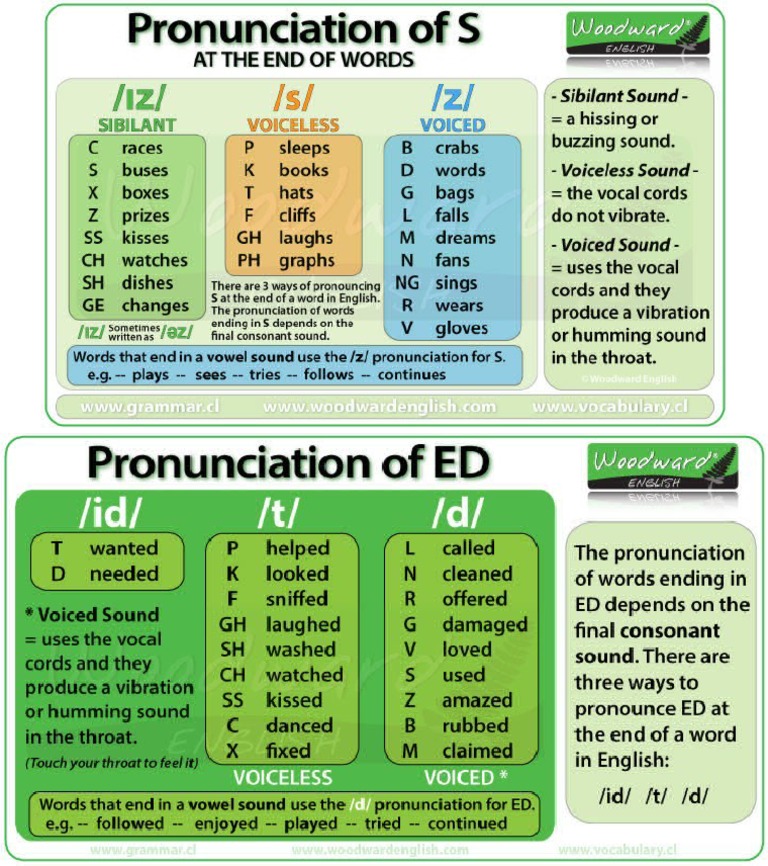 Phonetics s , z, Ed Theory | PDF