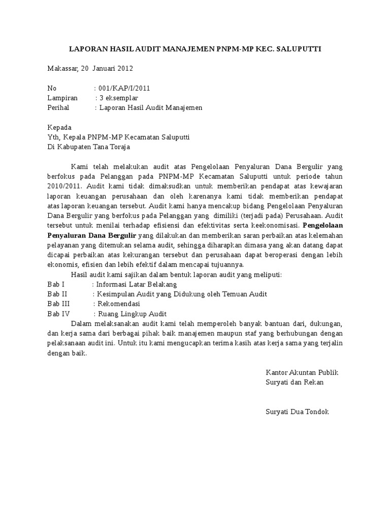 Laporan Hasil Audit Manajemen PNPM | PDF