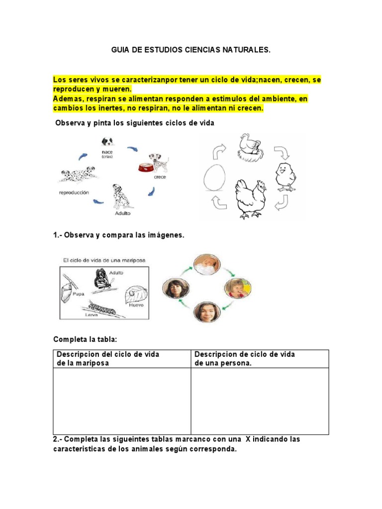 Cs Naturales Seres Vivos e Inertes | PDF | Osos | Plantas