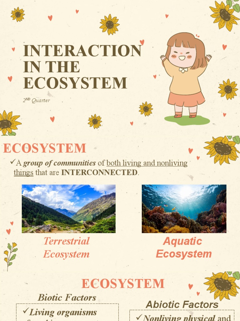 Interactions In The Ecosystem Pdf Rainforest Canopy Biology