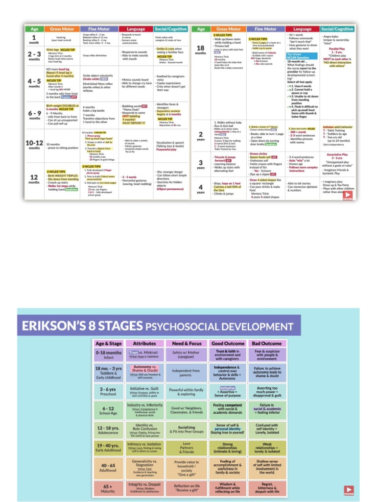 Developmental Milestone | PDF