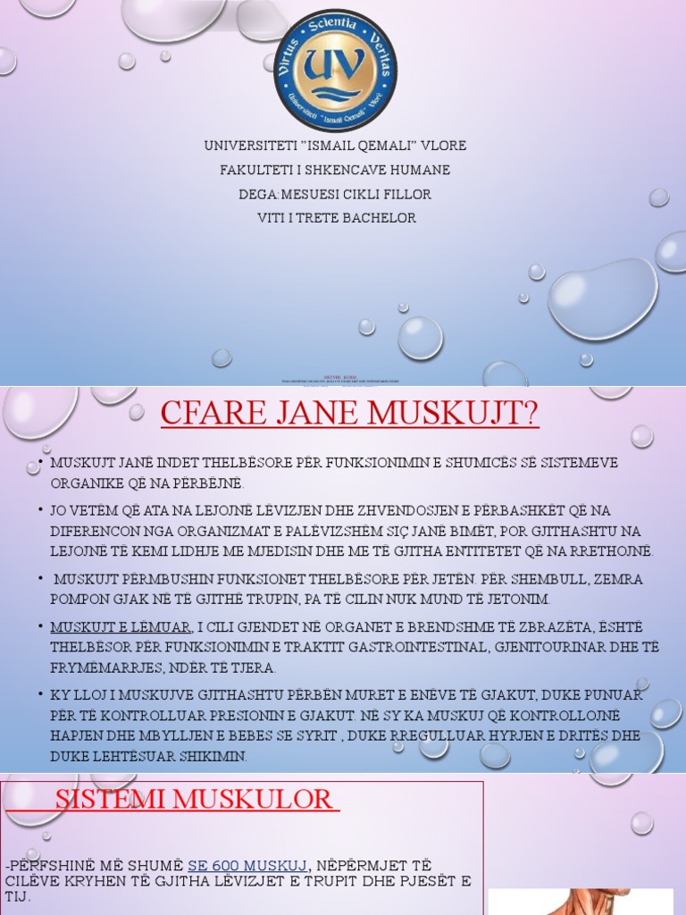 Anatomi prezantim | PDF