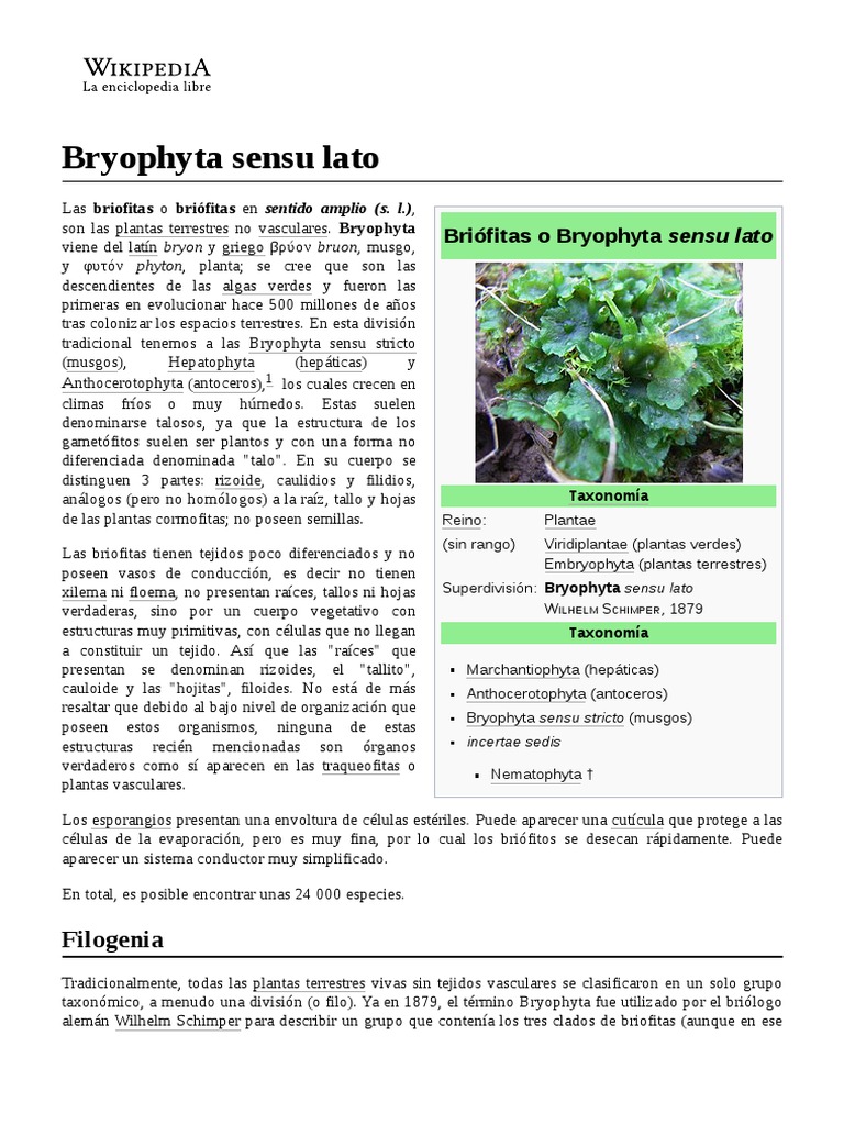 Bryophyta Sensu Lato | PDF | Botánica | Organismos