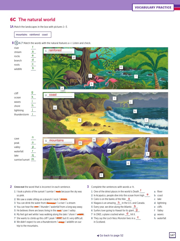 Vocabulary The Natural World | PDF | Earth Sciences | Physical Geography