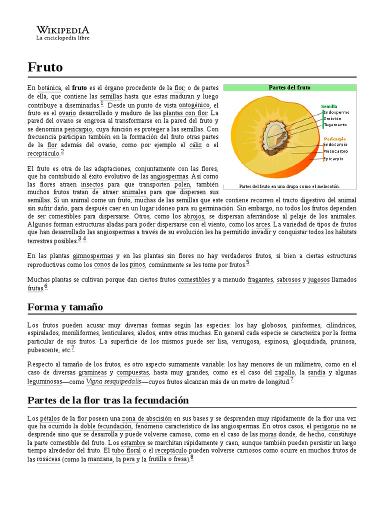 Fruto | PDF | Fruta | Flores