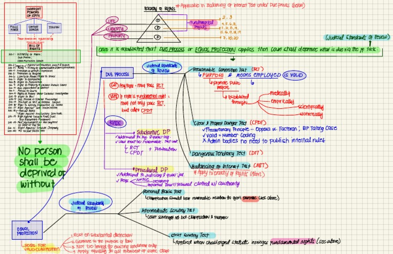 Due Process, Equal Protection - Mind Map | PDF