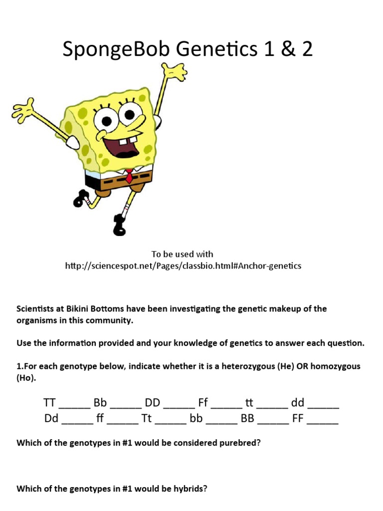 SpongeBob Genetics Worksheet Guide | PDF | Genotype | Dominance (Genetics)
