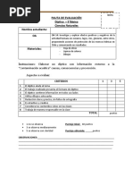Prueba Julito Cabello 5° | PDF