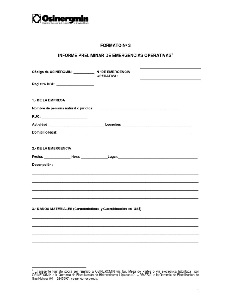 Formato 3. Info - Preli - Emer | PDF