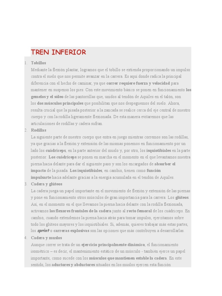 Tren Inferior | PDF | Sistema musculoesquelético | Anatomía humana