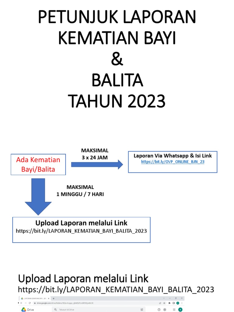 PETUNJUK LAPORAN AKB_AKBAL (1) | PDF