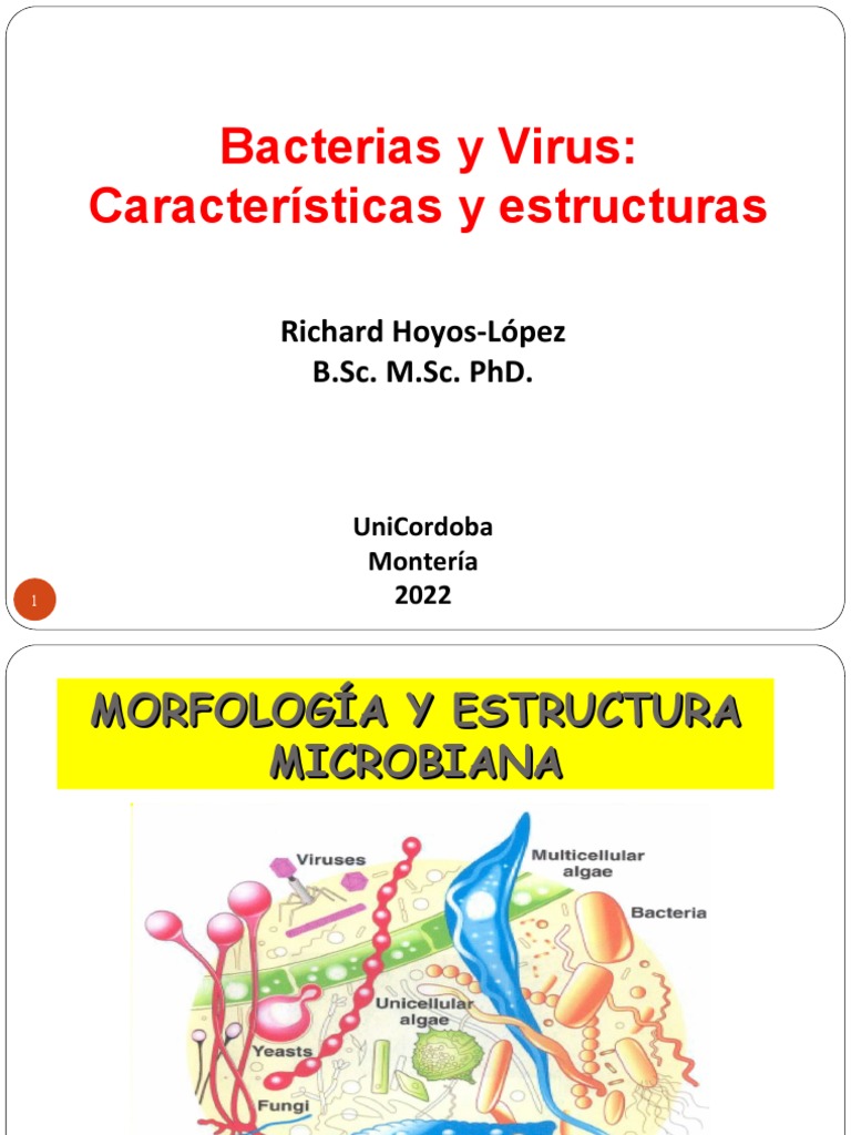 Microbiologia - Generalidades y Conceptos | PDF | Las bacterias | Virus