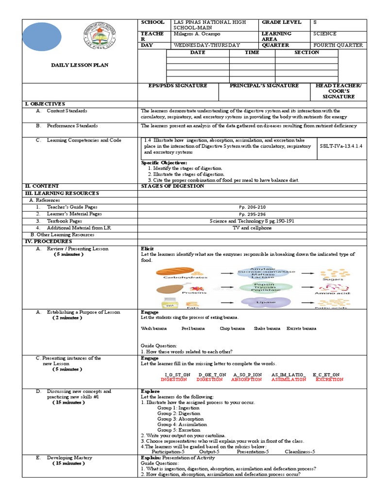 Stages of Digestion Lesson Plan | Download Free PDF | Digestion | Learning