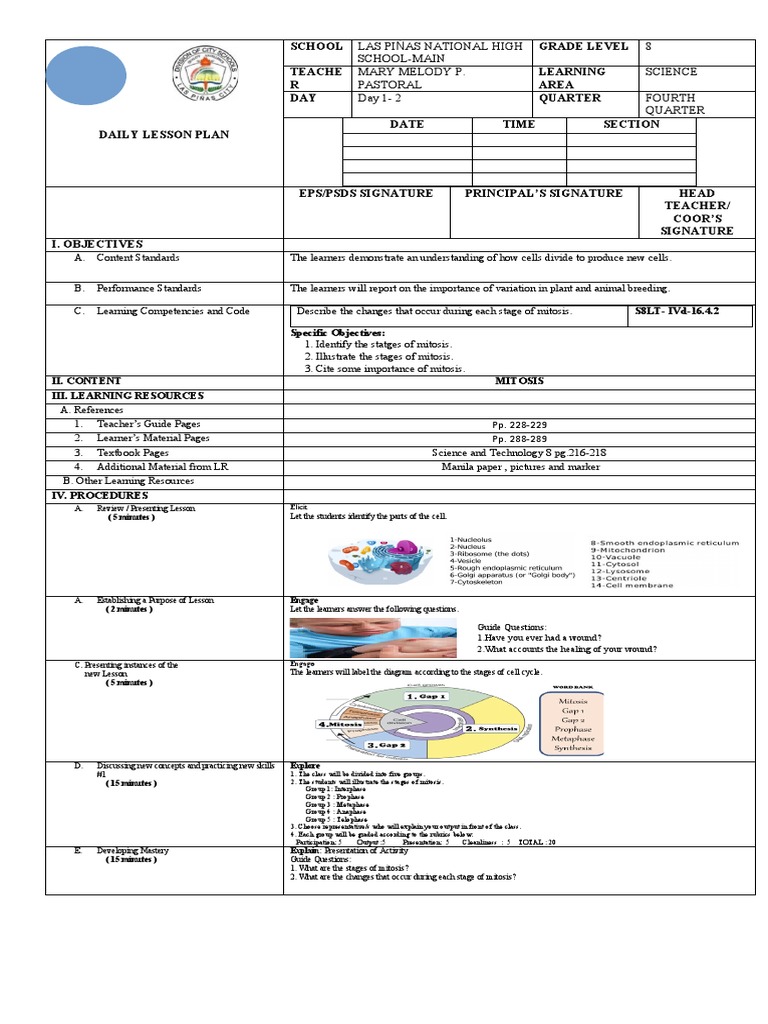 Mitosis Lesson Plan | PDF | Mitosis | Biology