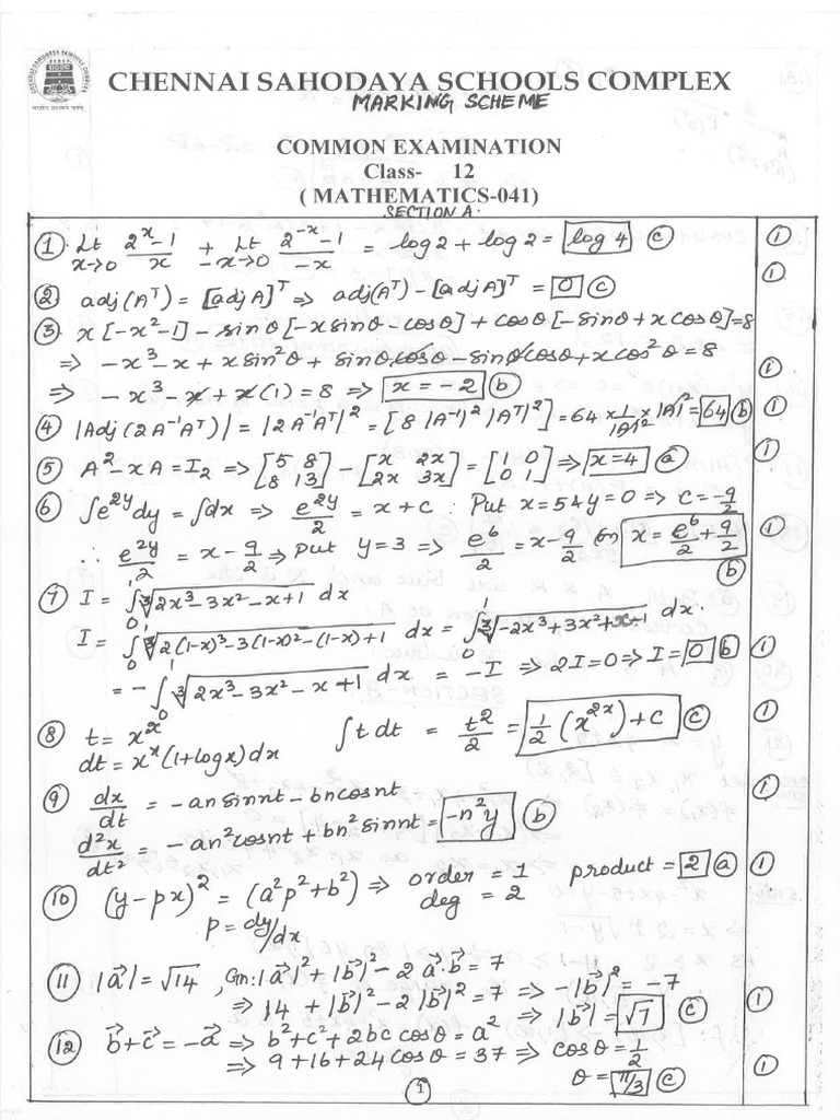 CSSC Class 12 Math MS Paper 3 | PDF