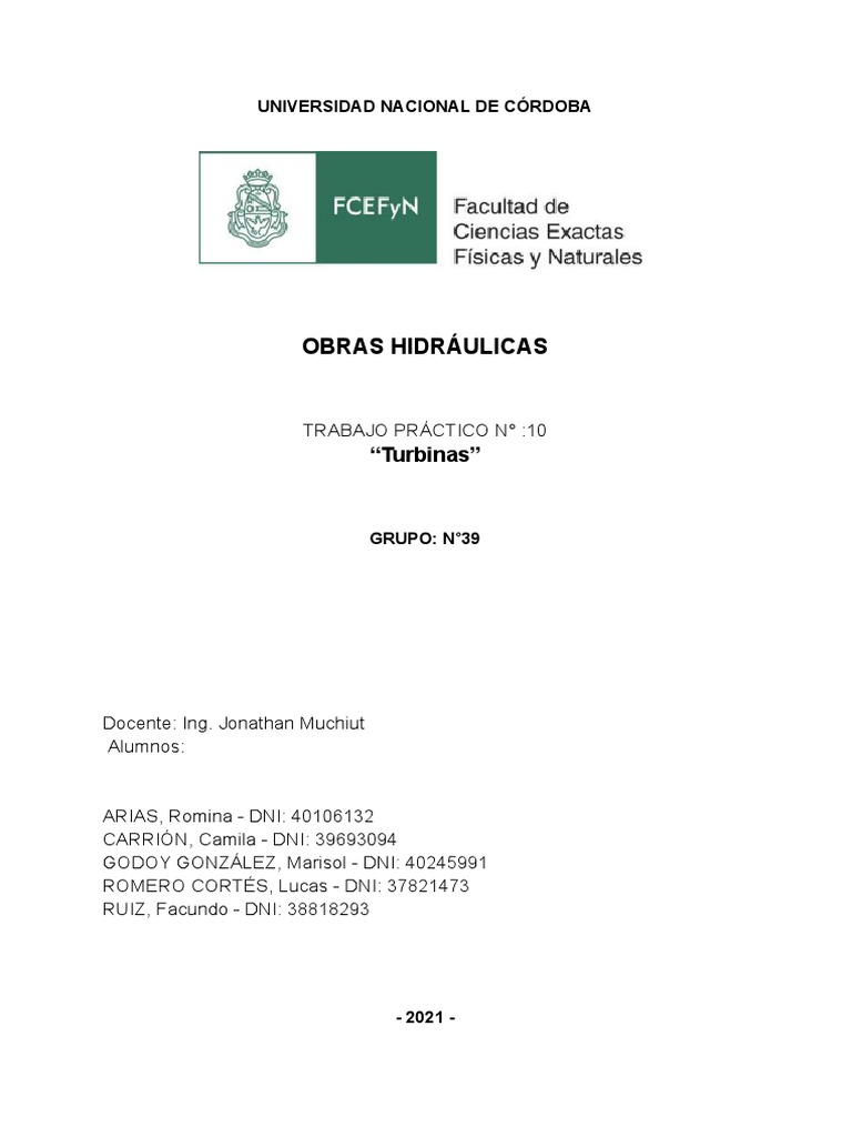 TP N°10 Turbinas | PDF | Física Aplicada e Interdisciplinaria ...