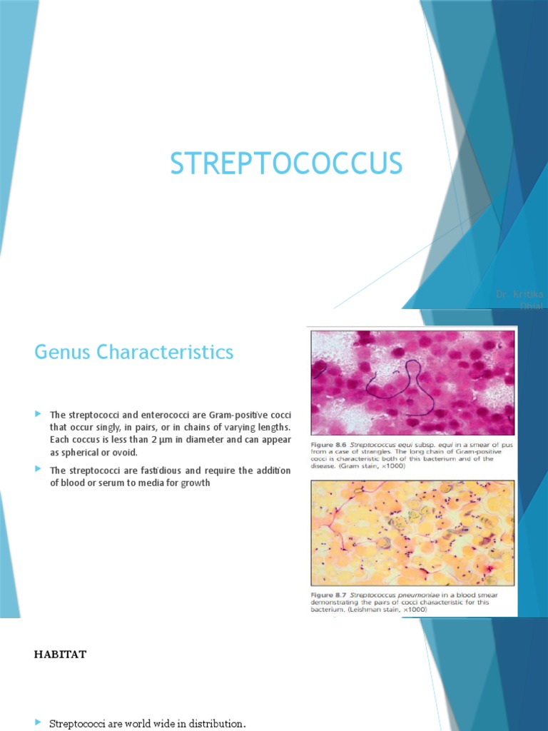 STREPTOCOCCUS | PDF | Streptococcus | Clinical Medicine