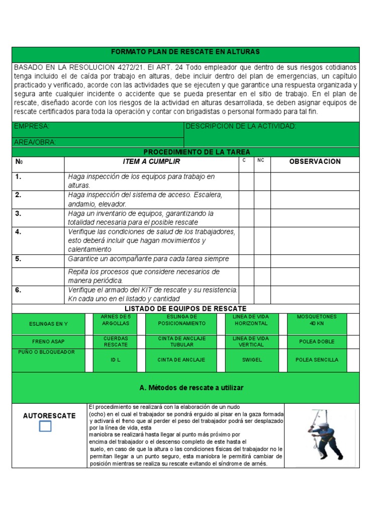 Formato Plan de Rescate | PDF