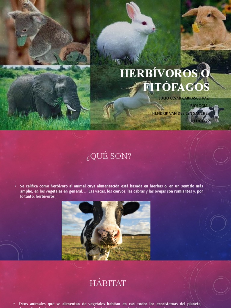 Herbívoros o Fitófagos | PDF | Herbívoro | Organismos