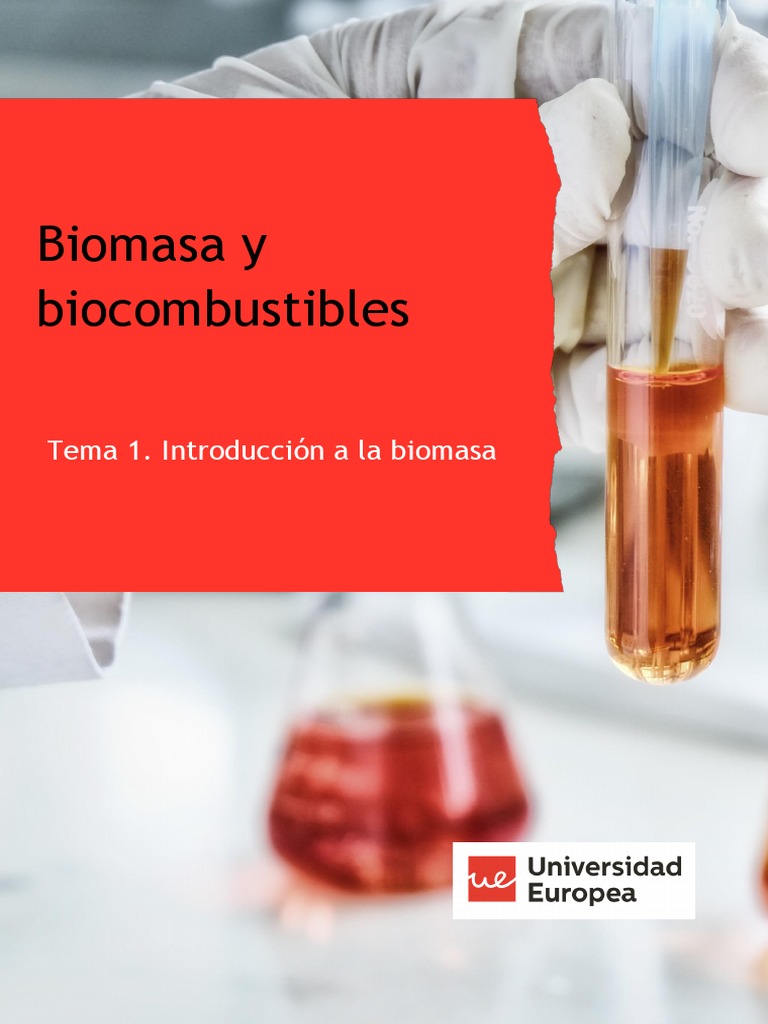 Biomasa y Biocombustibles | PDF | Biomasa | Biocombustible
