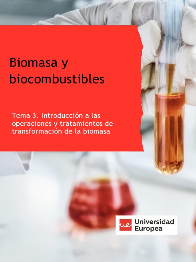 Biomasa y Biocombustibles 3 | PDF | Biomasa | Pirólisis