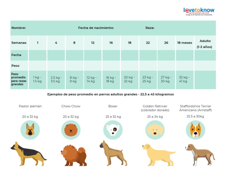 4178 Tabla Peso Cachorro Raza Grande | PDF