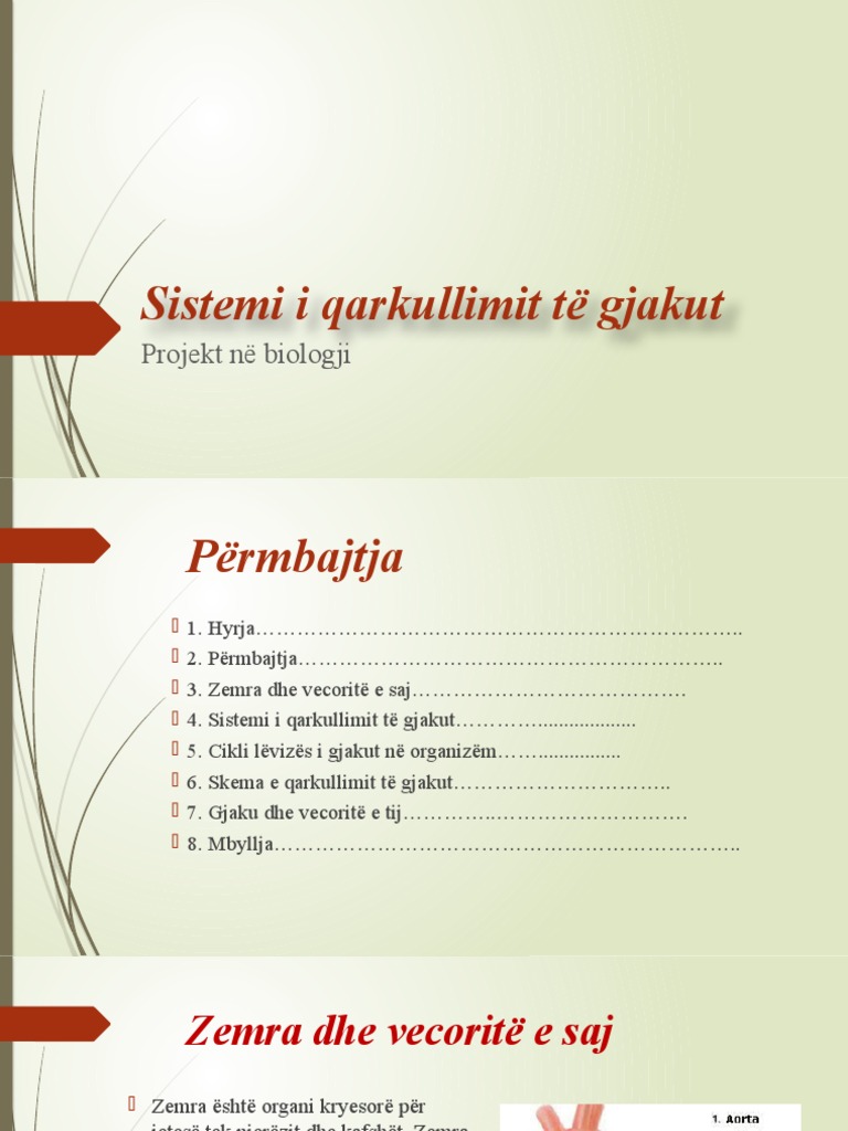 Sistemi I Qarkullimit Të Gjakut | PDF