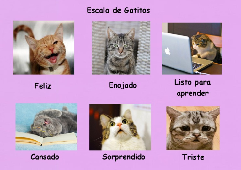 Escala de Gatitos | PDF