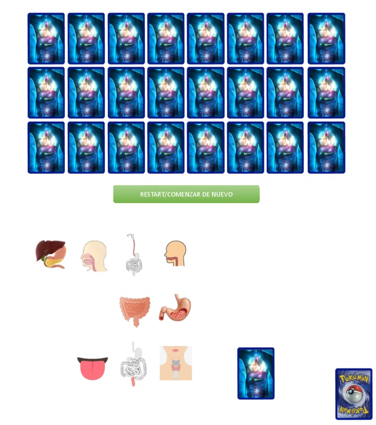 Memory Game - Digestive System | PDF