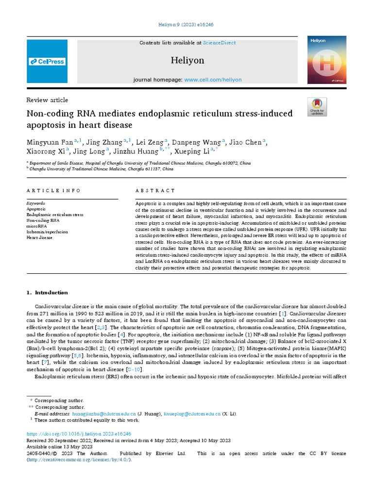 Non Coding Rna Mediates Endoplasmic Reticulum Stress Induced Apoptosis