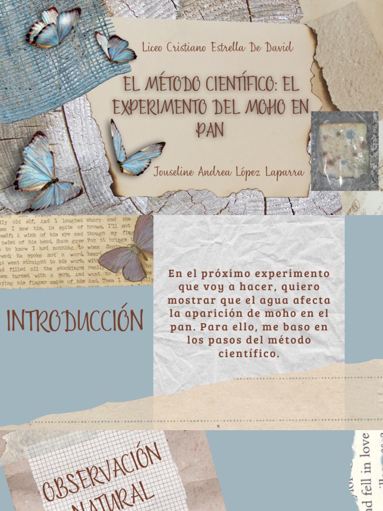 El Método Científico El Experimento Del Moho en Pan | PDF | Panes | Color