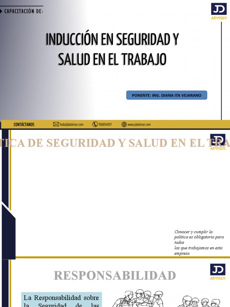 PPT Cap-Inducción en SST | PDF