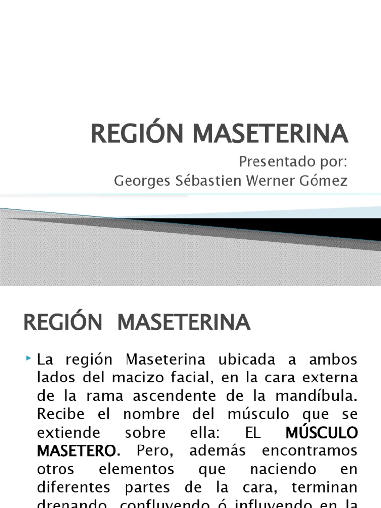 Región Maseterina | Descargar gratis PDF | Anatomía | Anatomía humana