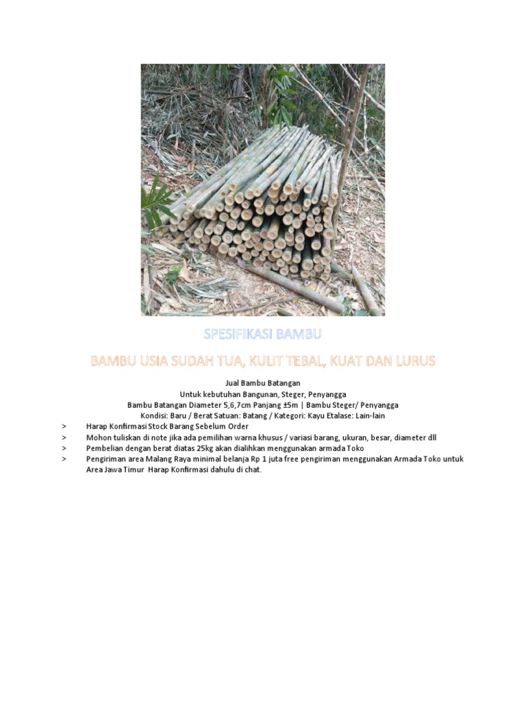 Spesifikasi Bambu | PDF