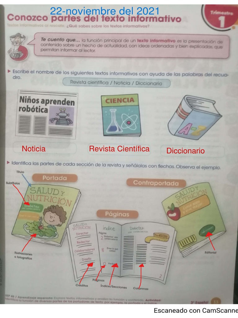 Texto Informativo | PDF