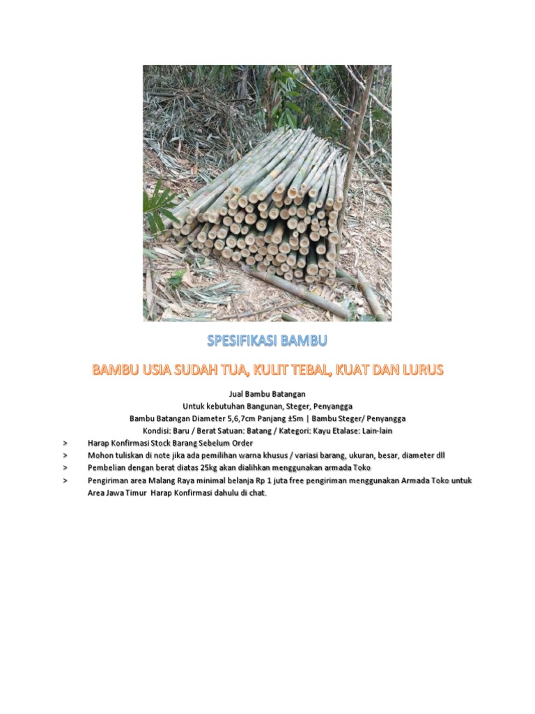 Spesifikasi Bambu | PDF